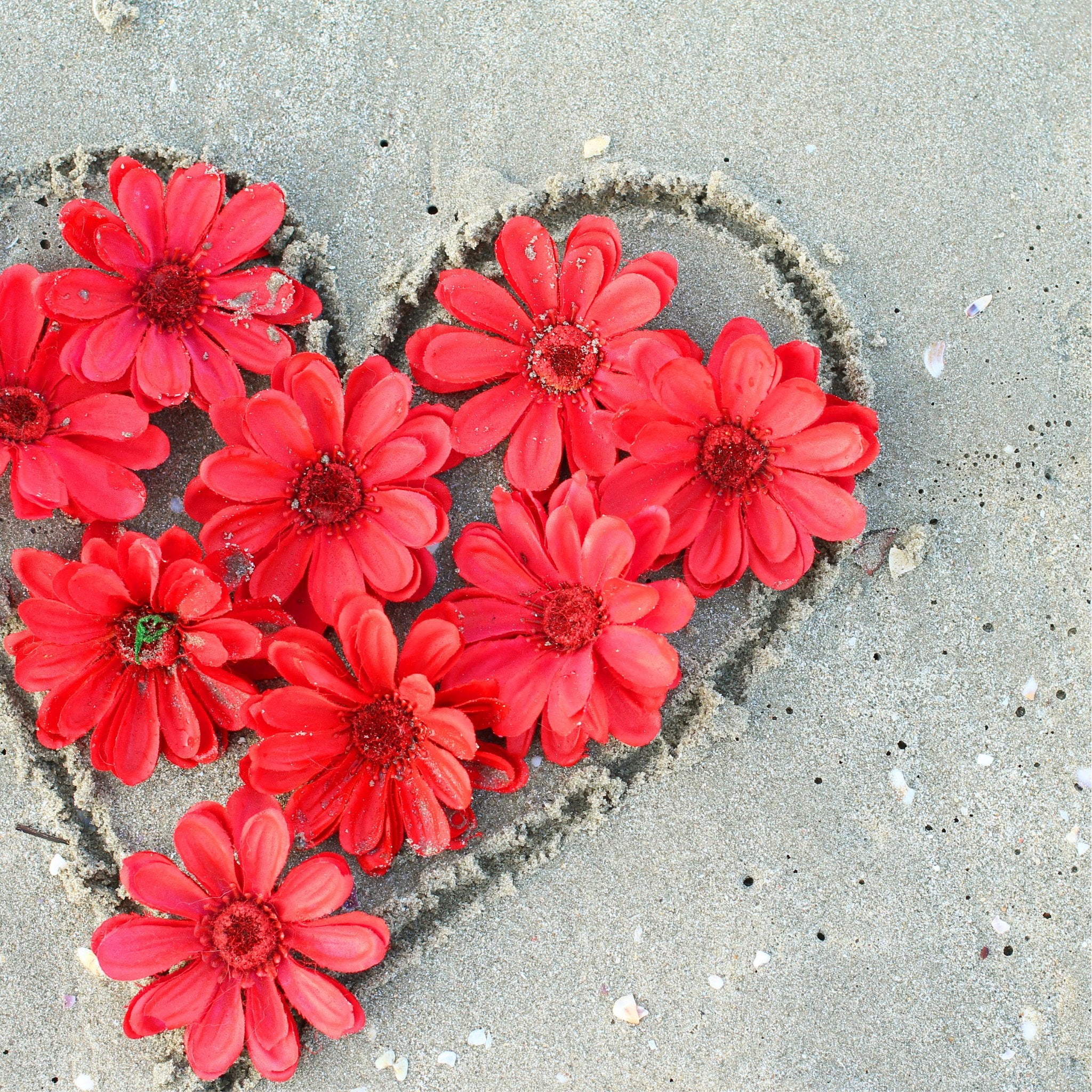 Collections – MacArthur's Nurseries Inc.