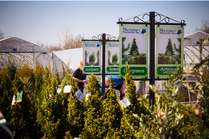 MacArthur’s Nurseries – MacArthur's Nurseries Inc.